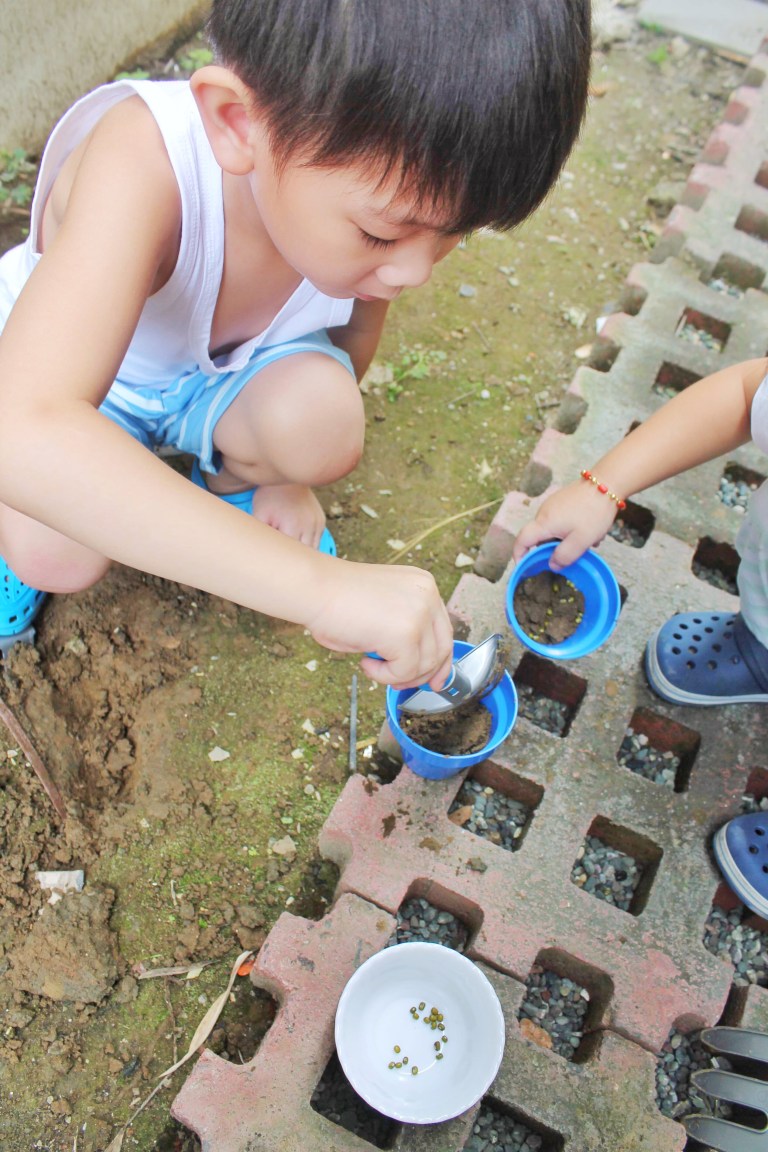 Planting Mung Beans – Domestic Goddess Tonni