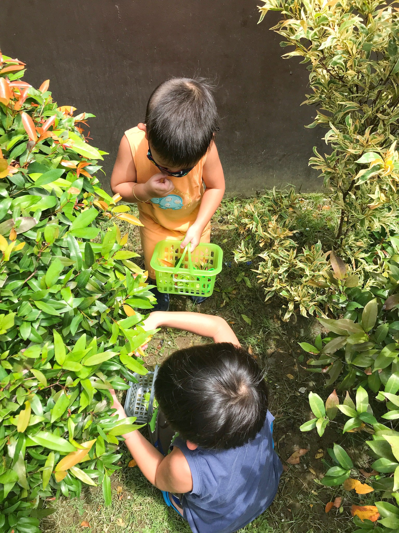 Loose Parts Leaf Play – Domestic Goddess Tonni